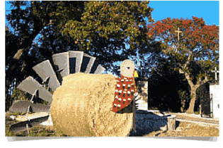 Thanksgiving at Mo • Presbyterian Mo-Ranch Assembly